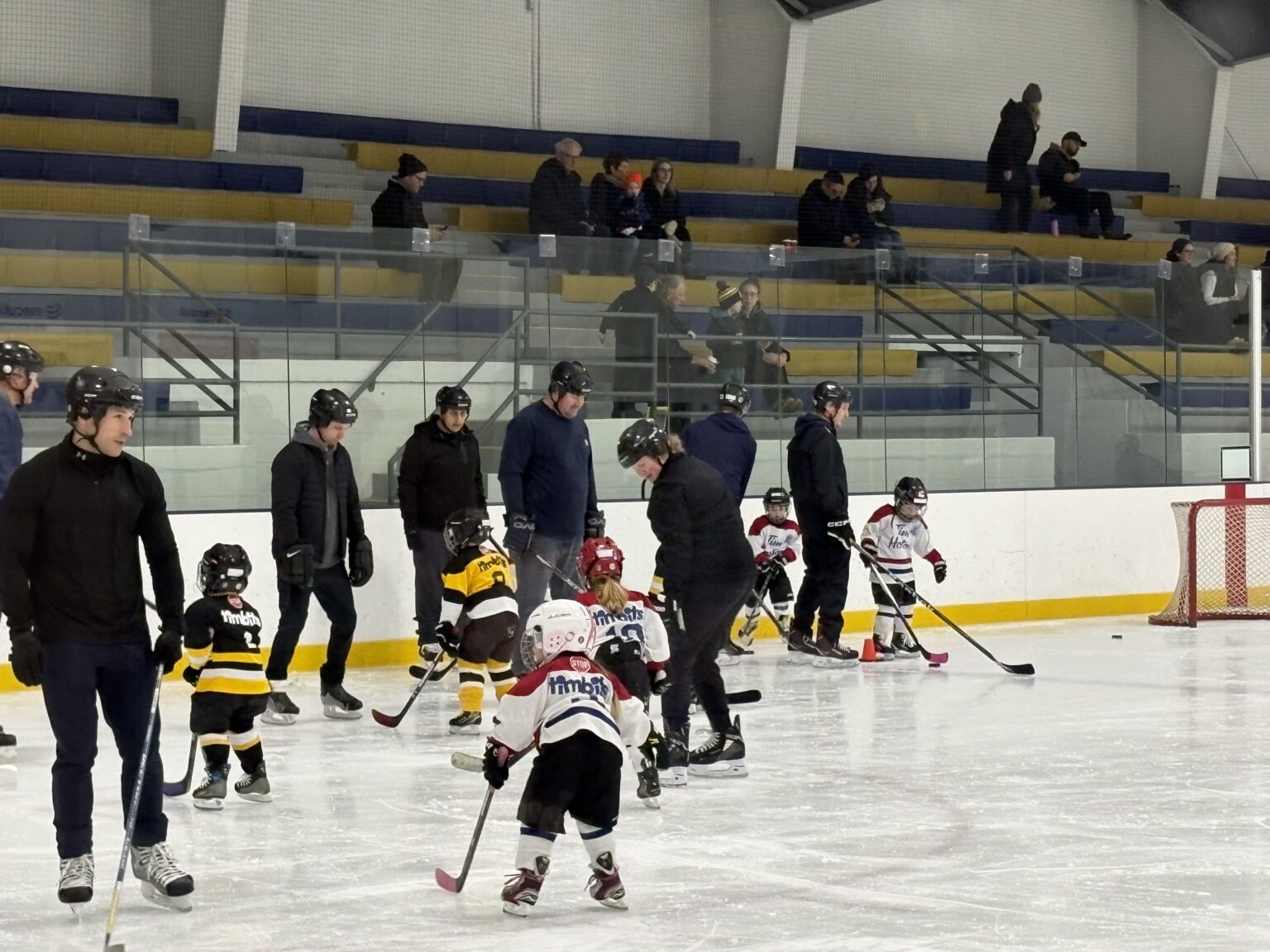 Hockey Day in Canada Brings Community Together in Ilderton – Middlesex ...